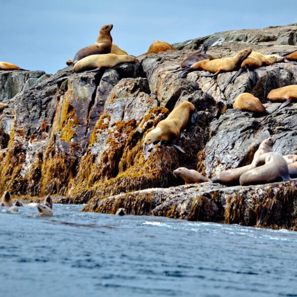 Saltery Bay Provincial Park & Mermaid Cove • British Columbia Magazine