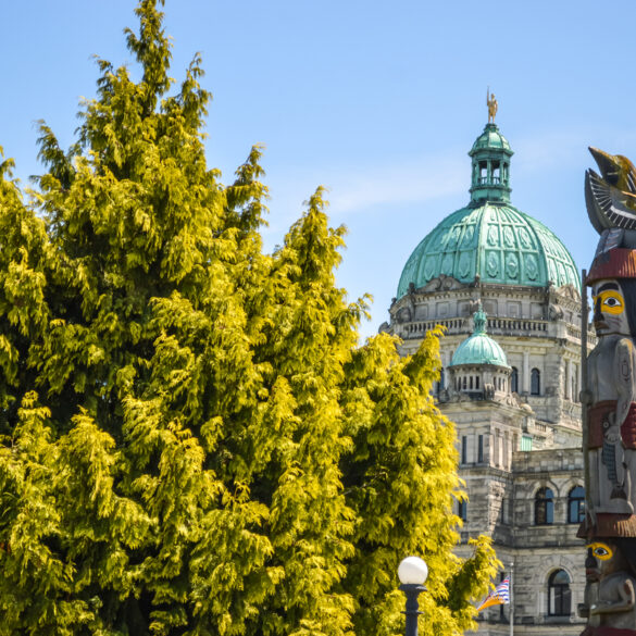 The Dark Past Of D'Arcy Island • British Columbia Magazine