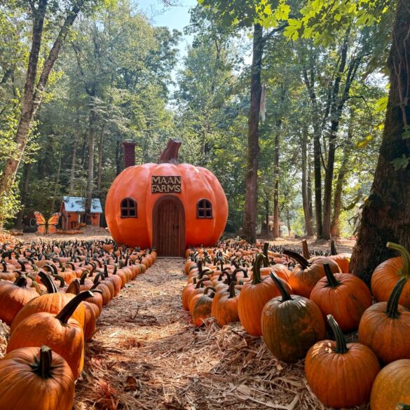 The Dark Past Of D'Arcy Island • British Columbia Magazine