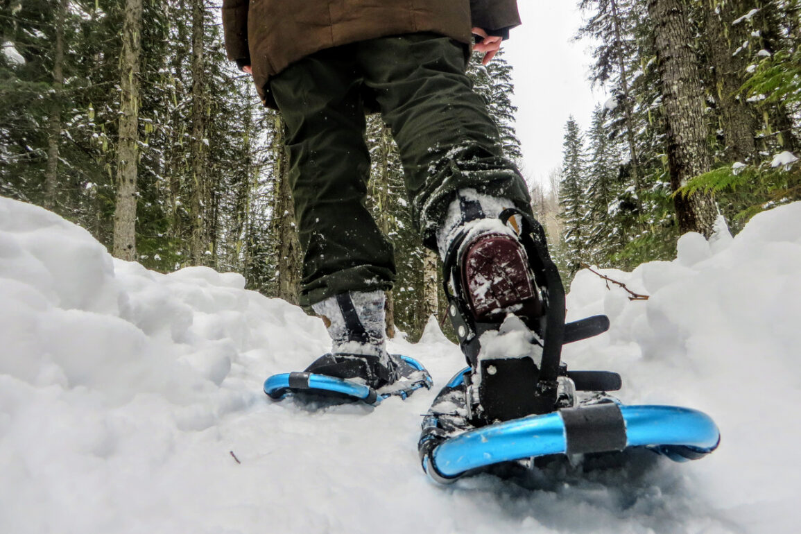 All About Snowshoeing • British Columbia Magazine